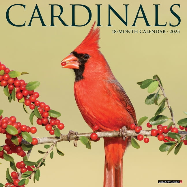 Cardinals 2026 12 X 12 Wall Calendar, (Hardcover) - Walmart.com