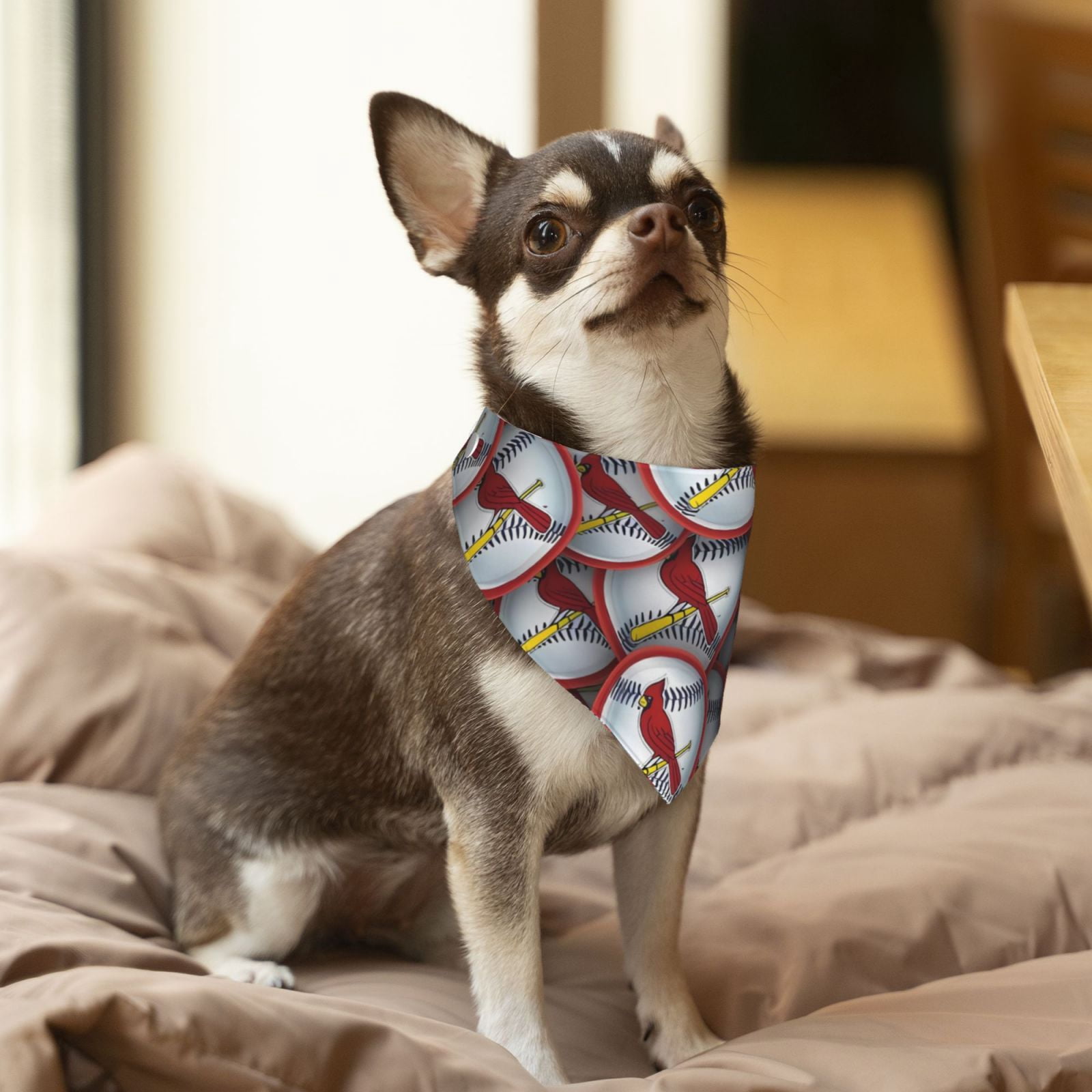 Cardinals Pet Adjustable Cotton Double-Sided Saliva Scarf Triangle Pet ...