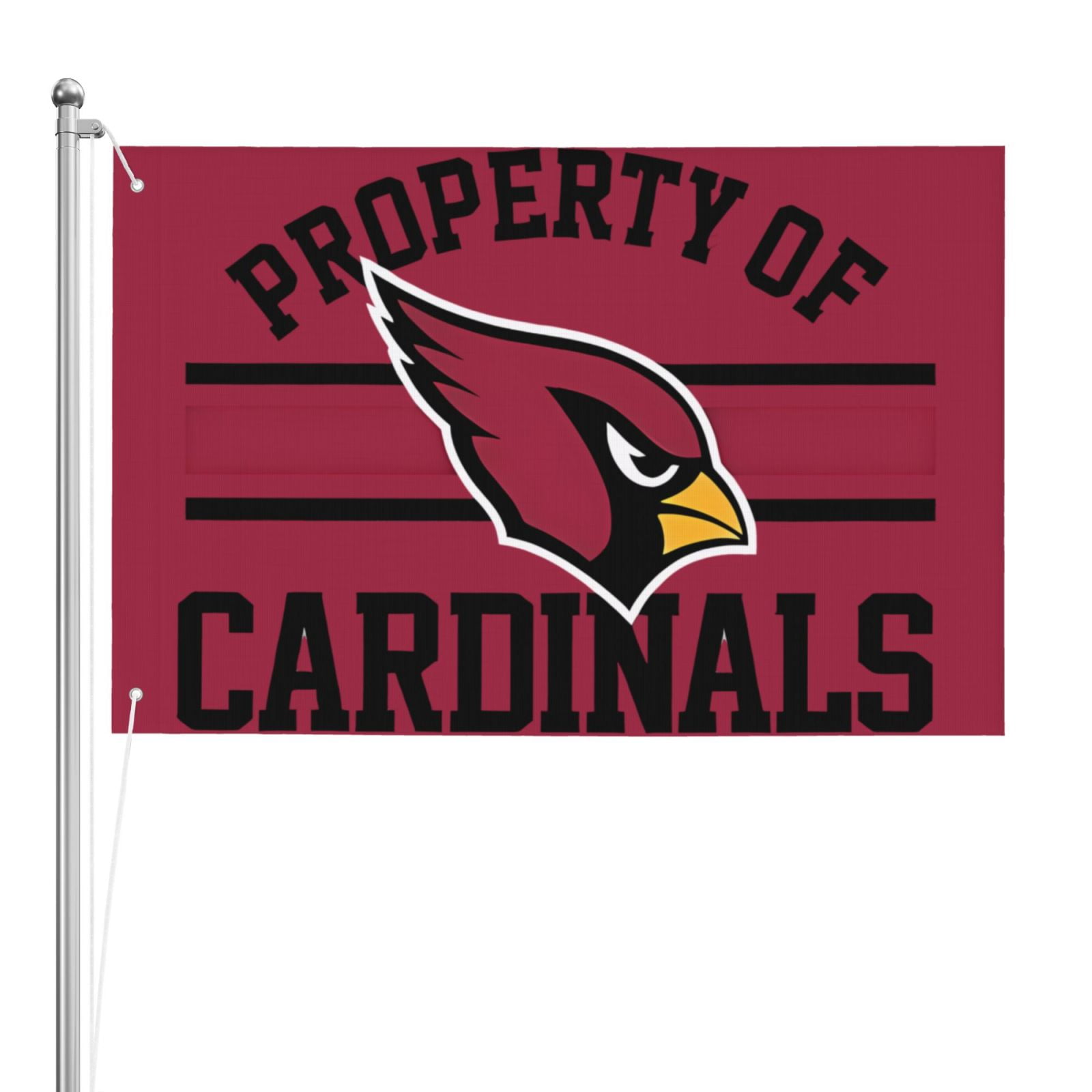 Rico Industries NFL Football Arizona Cardinals Game Day 3' X 5' Banner ...