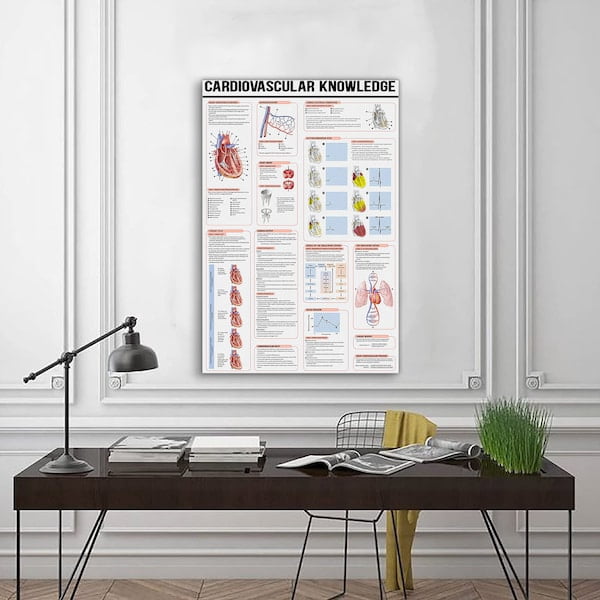 Cardiovascular Knowledge Poster Vintage Poster, Decor Wall, Knowledge ...