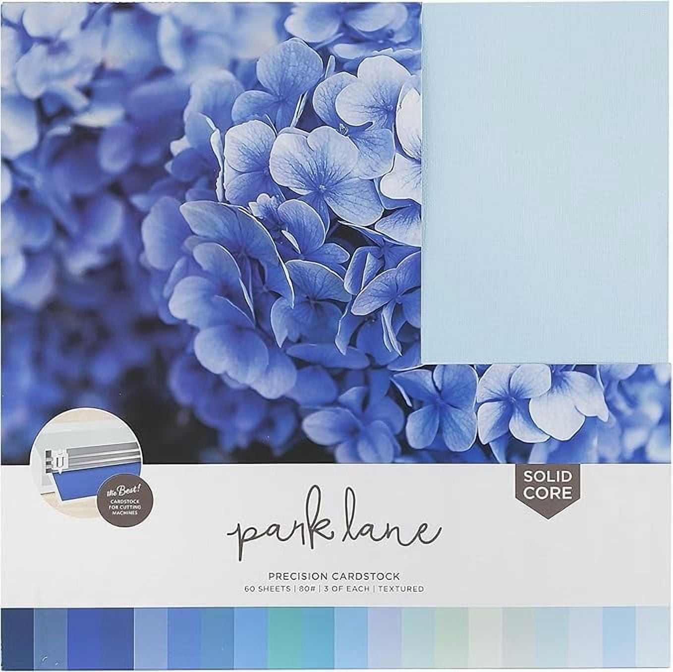 Cardstock 12x12 Variety Pack, 60 Sheets | 80lb Premium Textured ...