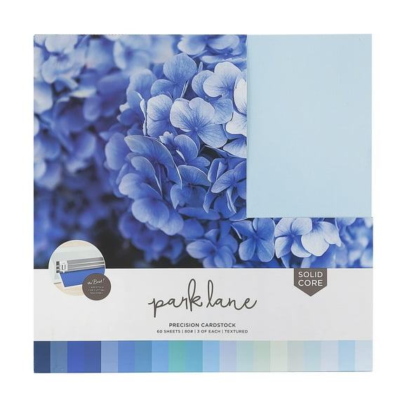 Park Lane Cardstock in Craft Paper - Walmart.com