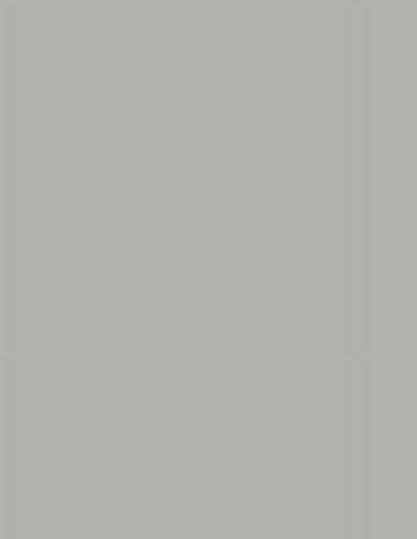 Cardstock Warehouse Lessebo Cement Gray - 8.5 x 11 inch 83 lb ...
