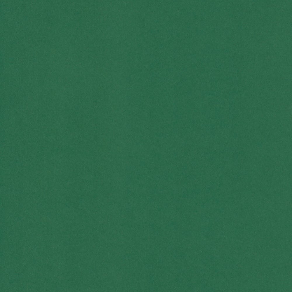 Cardstock Warehouse Lessebo Evergreen - 12 x 12 inch 100 lb. Cardstock ...
