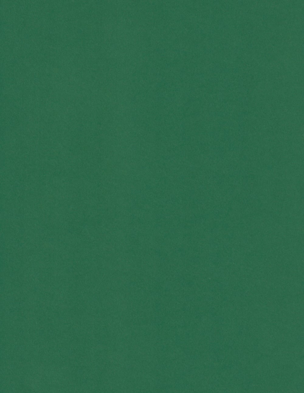 Cardstock Warehouse Lessebo Evergreen - 8.5 x 11 inch 83 lb. Cardstock ...