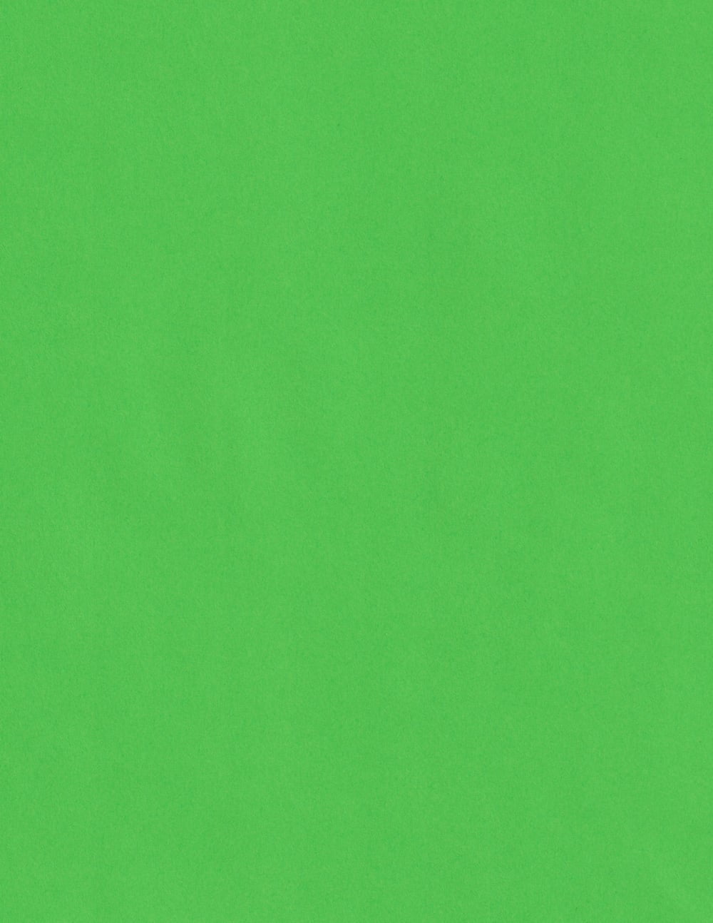 Cardstock Warehouse Lessebo Kelly Green - 8.5 x 11 inch 83 lb ...