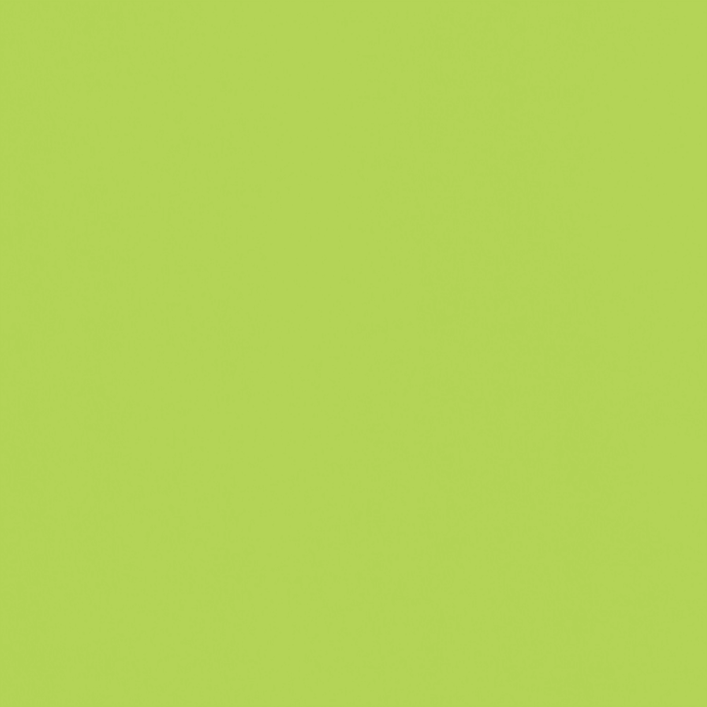 Cardstock Warehouse Lessebo Lime Green - 12 x 12 inch 100 lb. Cardstock ...