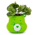 Care Bears Good Luck Bear 5-Inch Ceramic Mini Planter With Artificial ...