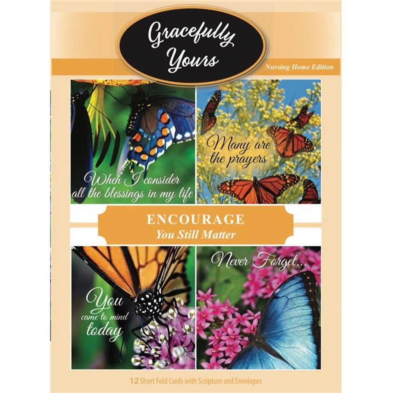 Care & Concern You are Never Forgotten Greeting Cards - 12 Cards ...