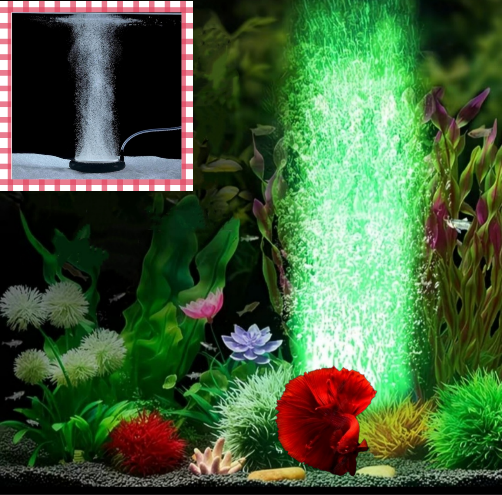 Carefree Fish 29.99 Bubbler Air Stone Multicolor LED Light Fish Tank ...