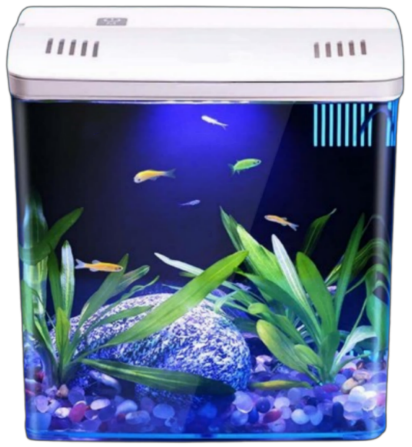 Carefree Fish Aquarium Starter Fish Tank Kit Small Acrylic 1.2 Gallon ...