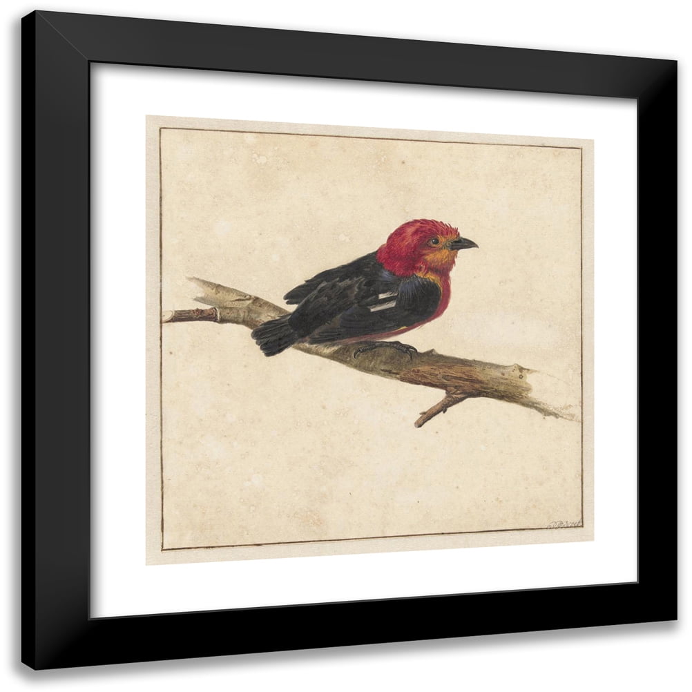 Carel Borchaert Voet 20x20 Black Modern Framed Museum Art Print Titled ...