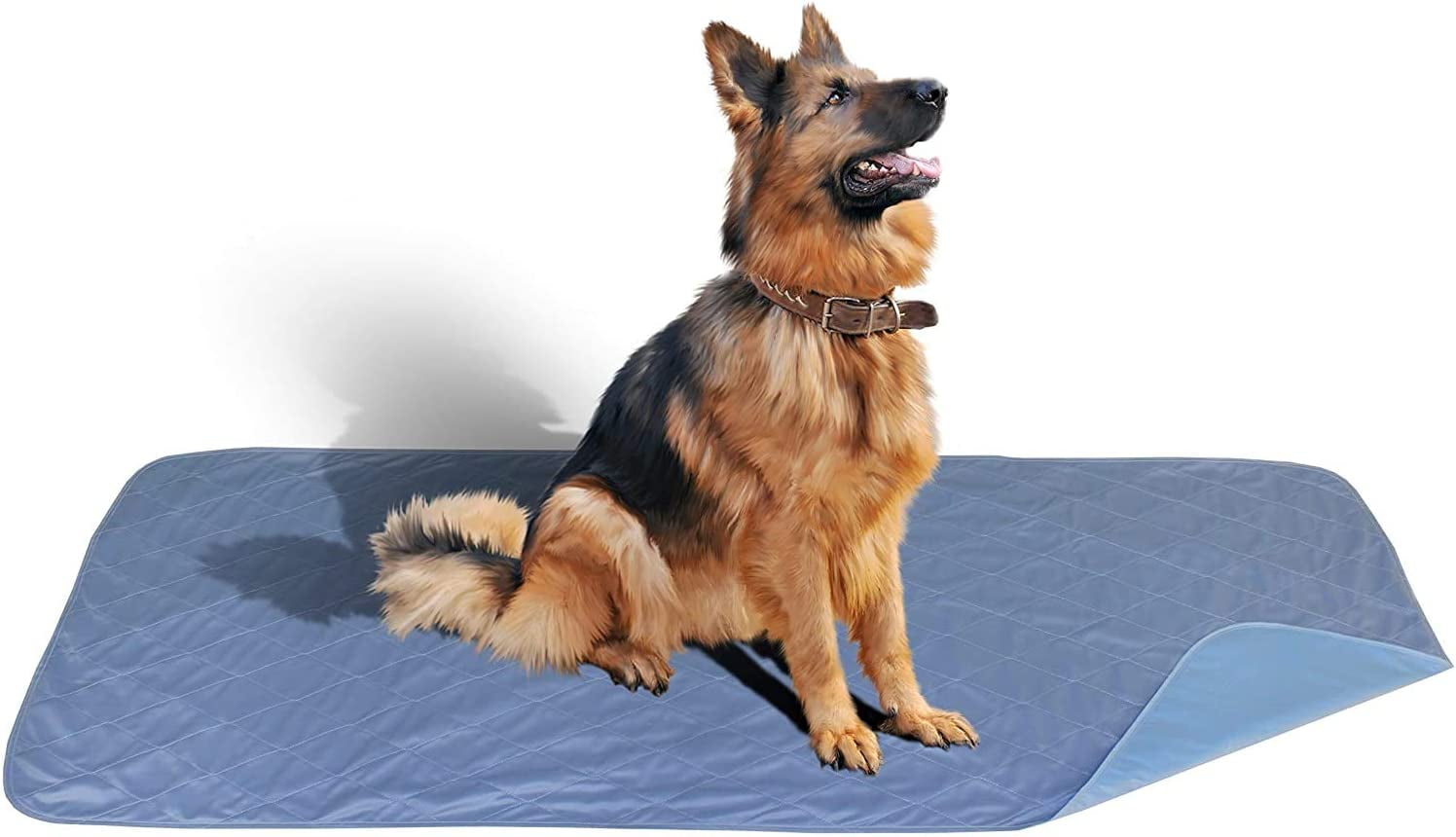 Care Outfit Premium Puppy Pads - Essential Dog Potty Training for ...