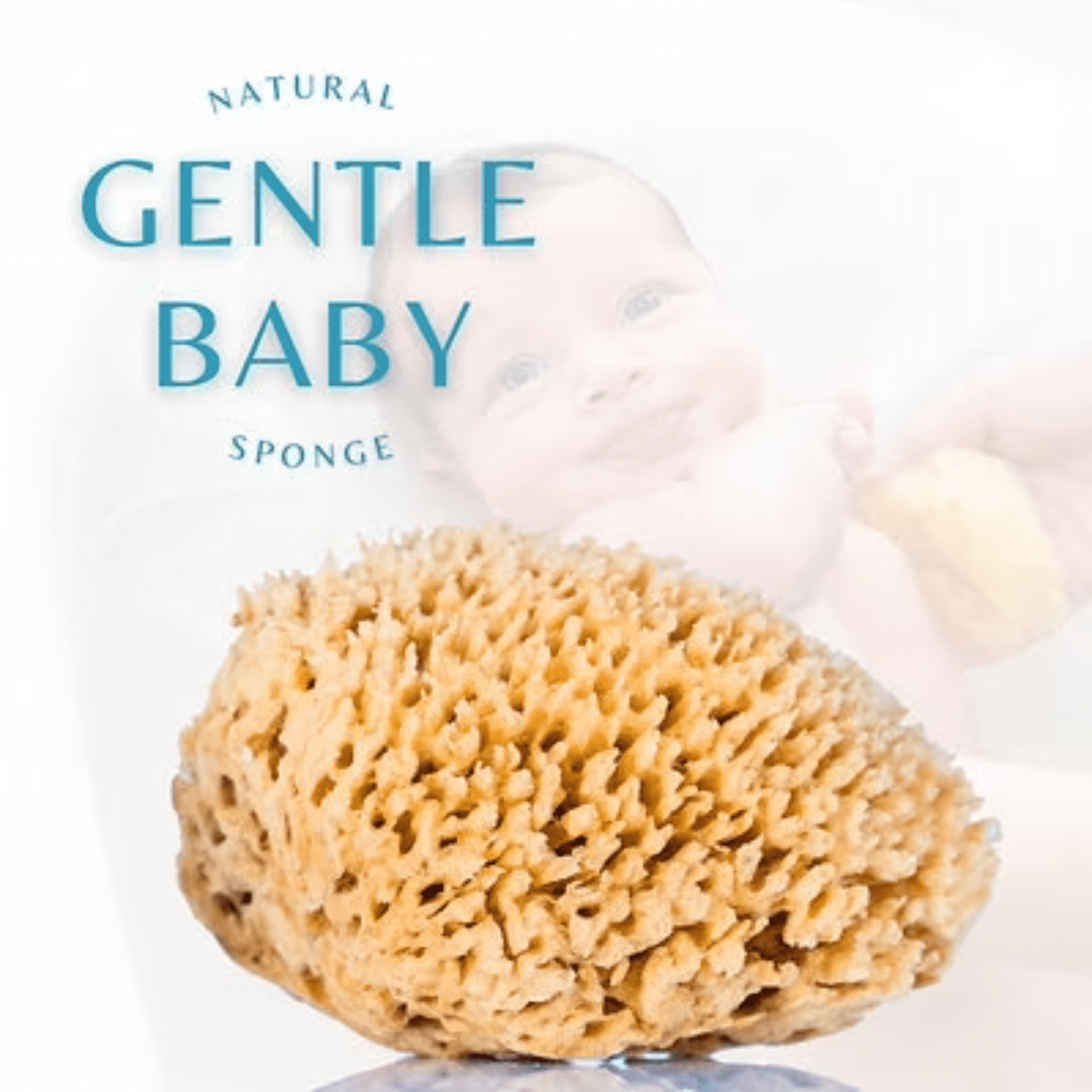 Lather Green Natural Baby Sponge, Hypoallergenic, Eco-Friendly, Soft ...