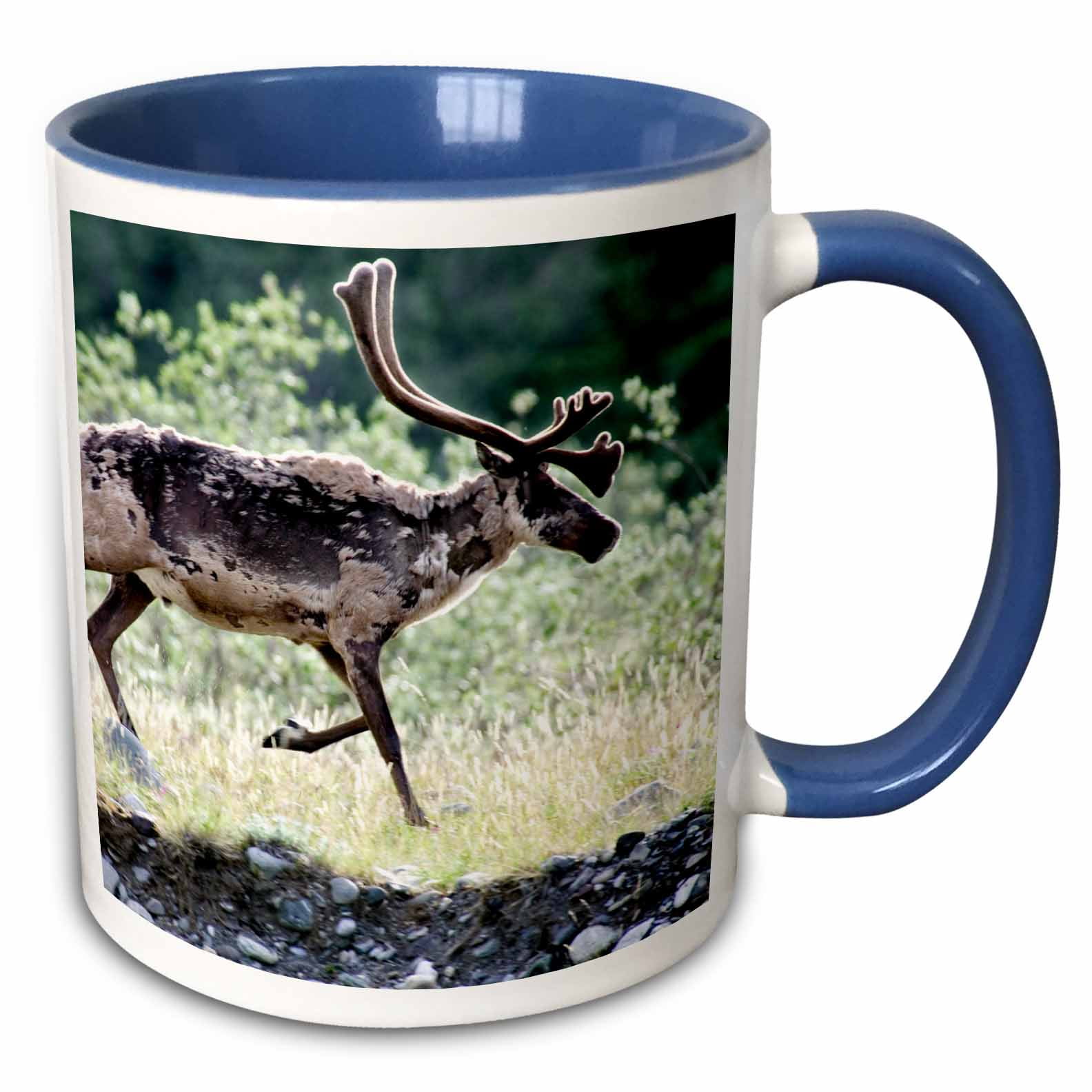 3drose, Caribou Bull Wildlife, Arctic Nwr, Alaska - Us02 Jgs0139 - Jim ...