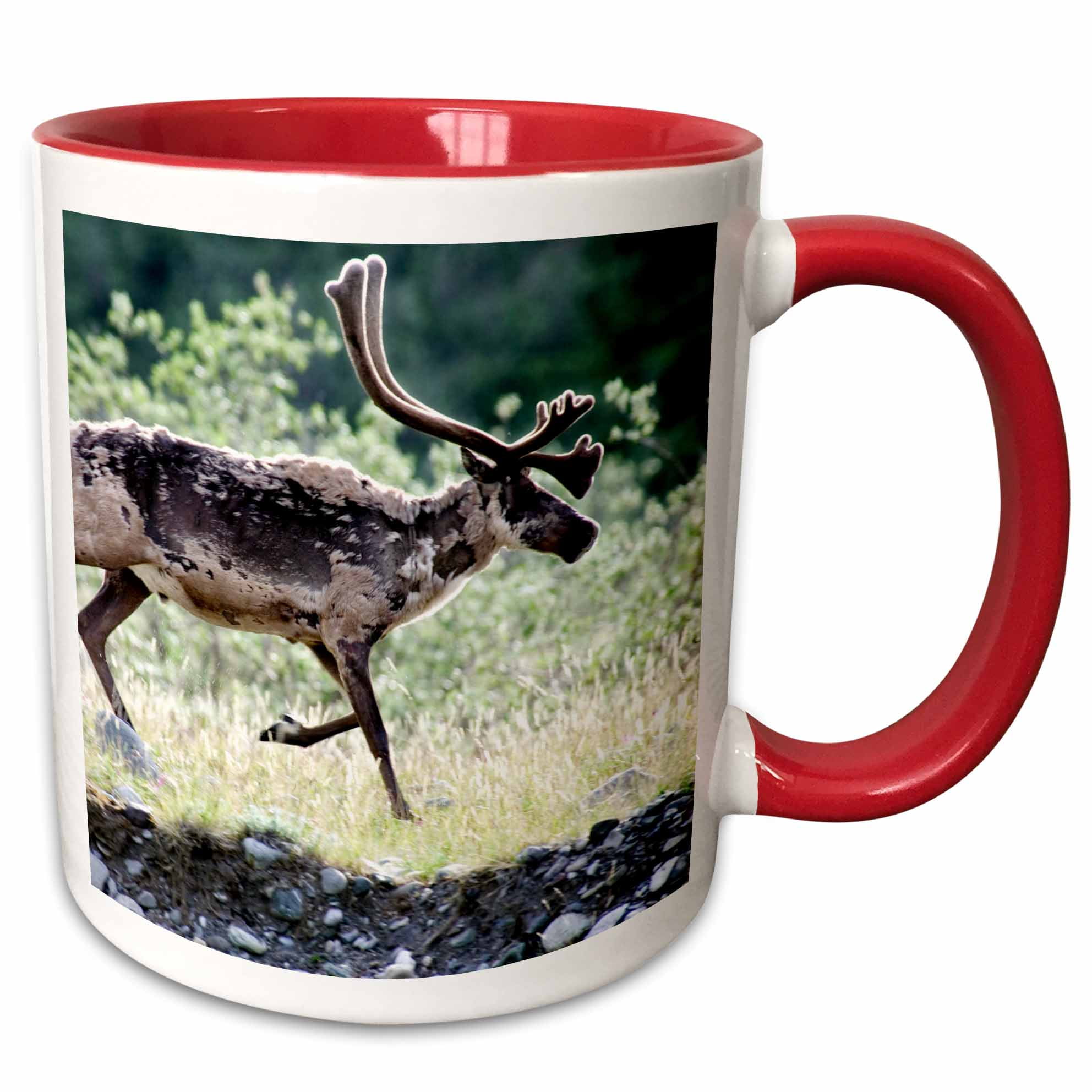 3drose, Caribou Bull Wildlife, Arctic Nwr, Alaska - Us02 Jgs0139 - Jim ...