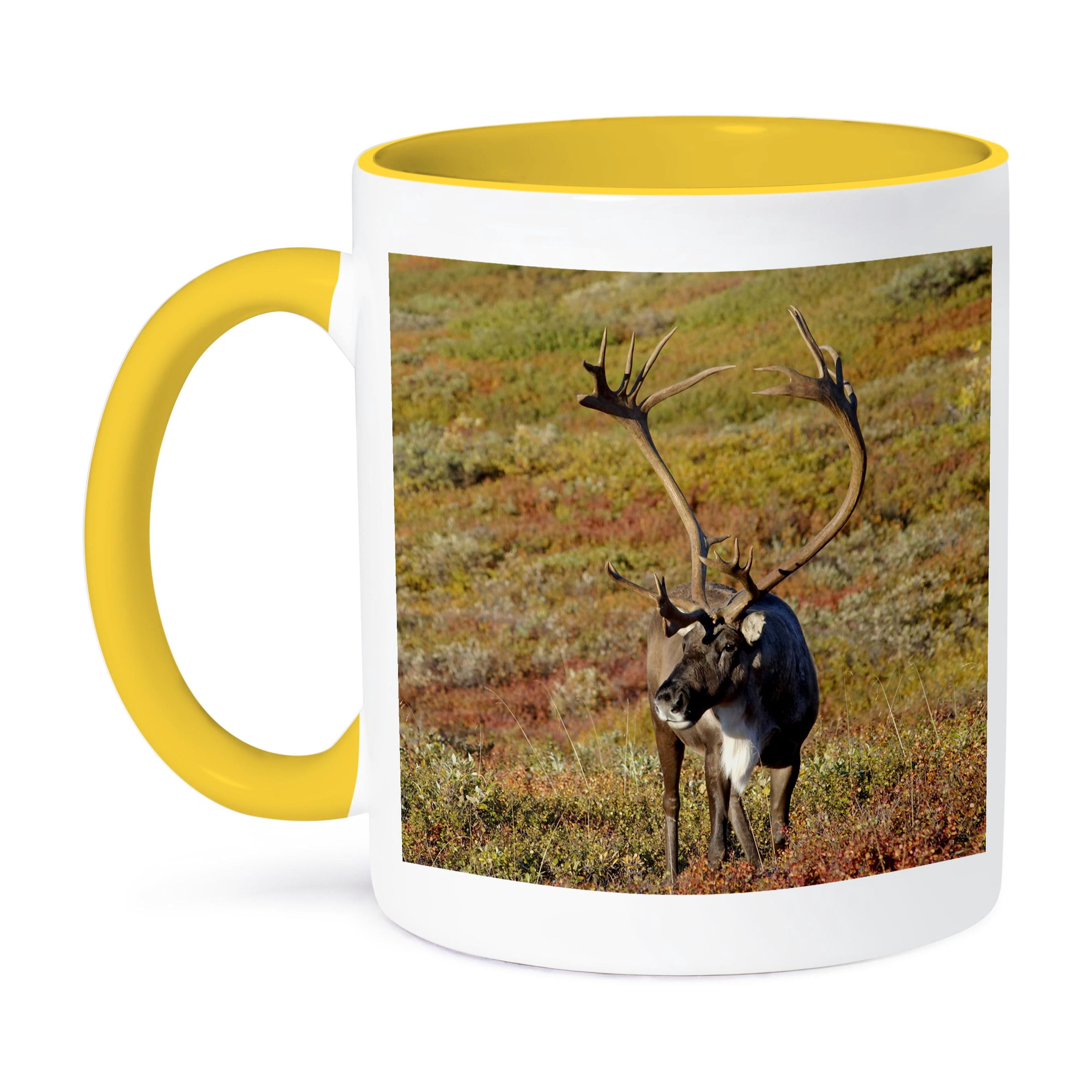 3dRose, Caribou bull wildlife, Denali NP, Alaska - US02 SKA3042 - Steve ...