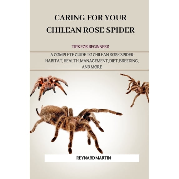 Caring for Your Chilean Rose Spider: A Complete Guide to Chilean Rose ...