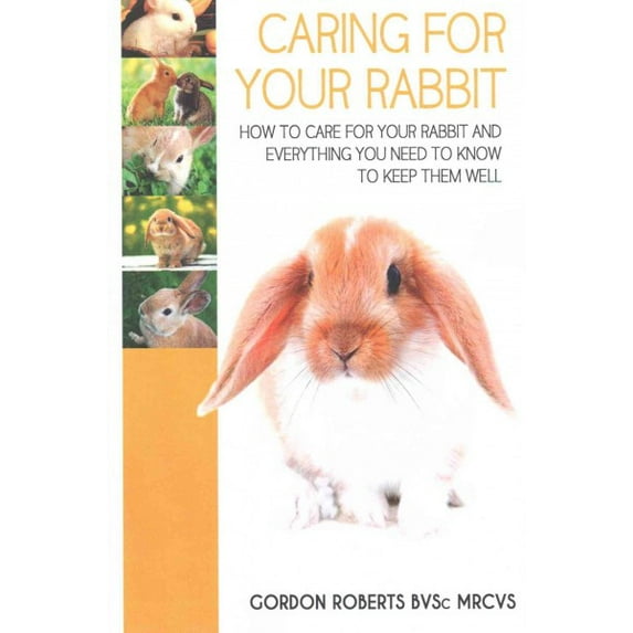 Caring for Your Rabbit : How to Care for Your Rabbit and Everything You ...