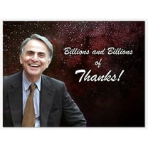 Small World Greetings Thanks A Ton Elephant Thank You Cards 24 Count ...