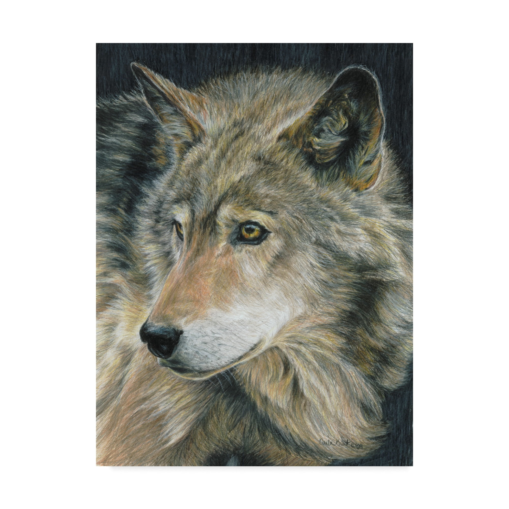 Carla Kurt 'Curious Eyes' Canvas Art - Walmart Business Supplies