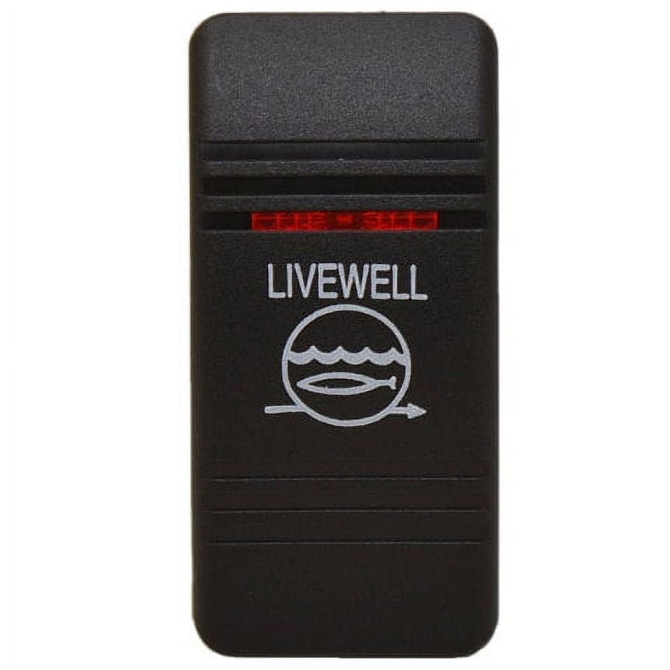 Carling Boat Rocker Switch Cover | Livewell Plastic 1 x 1 7/8 Inch ...