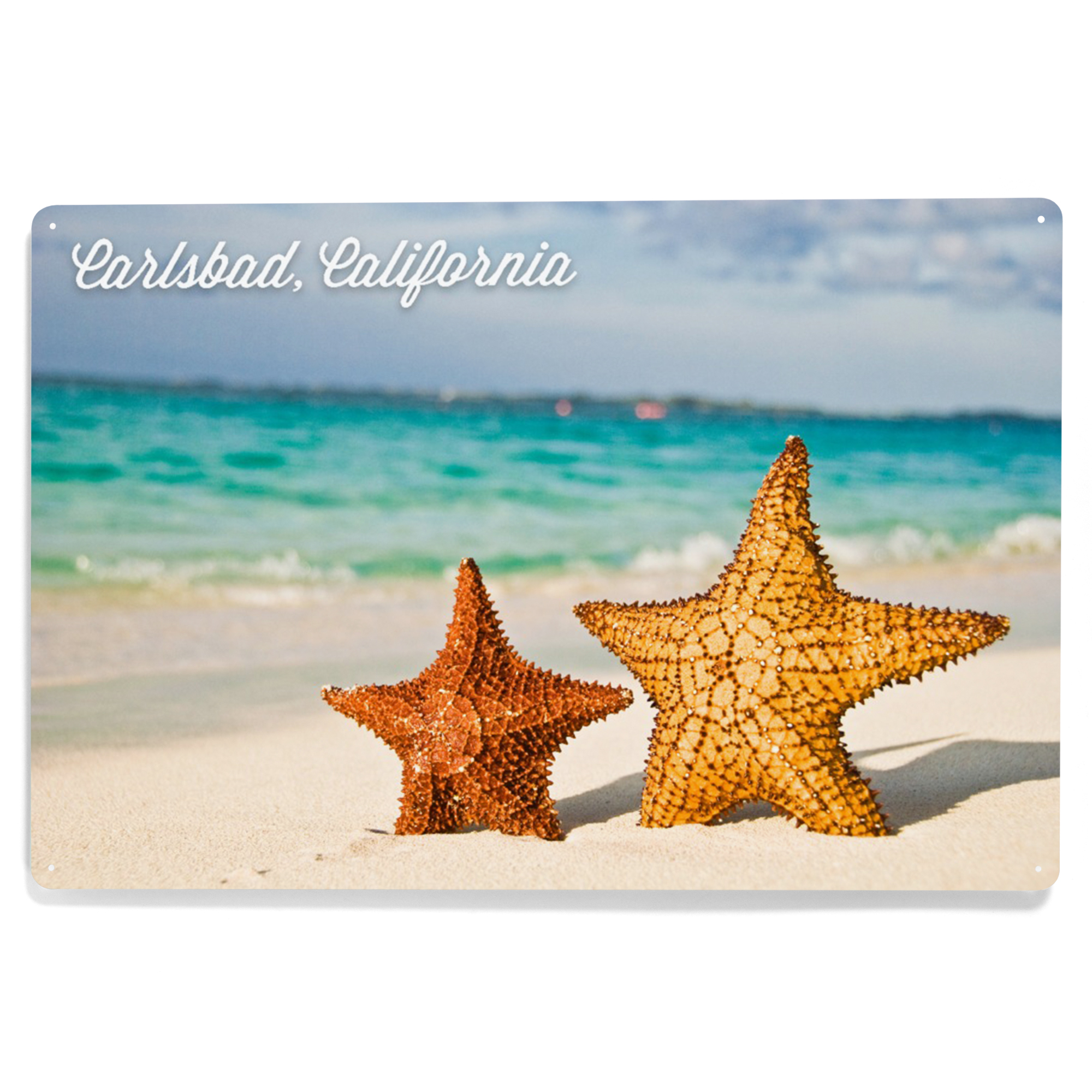 Carlsbad, California, Starfish on Beach (12x18 Aluminum Art, Indoor ...