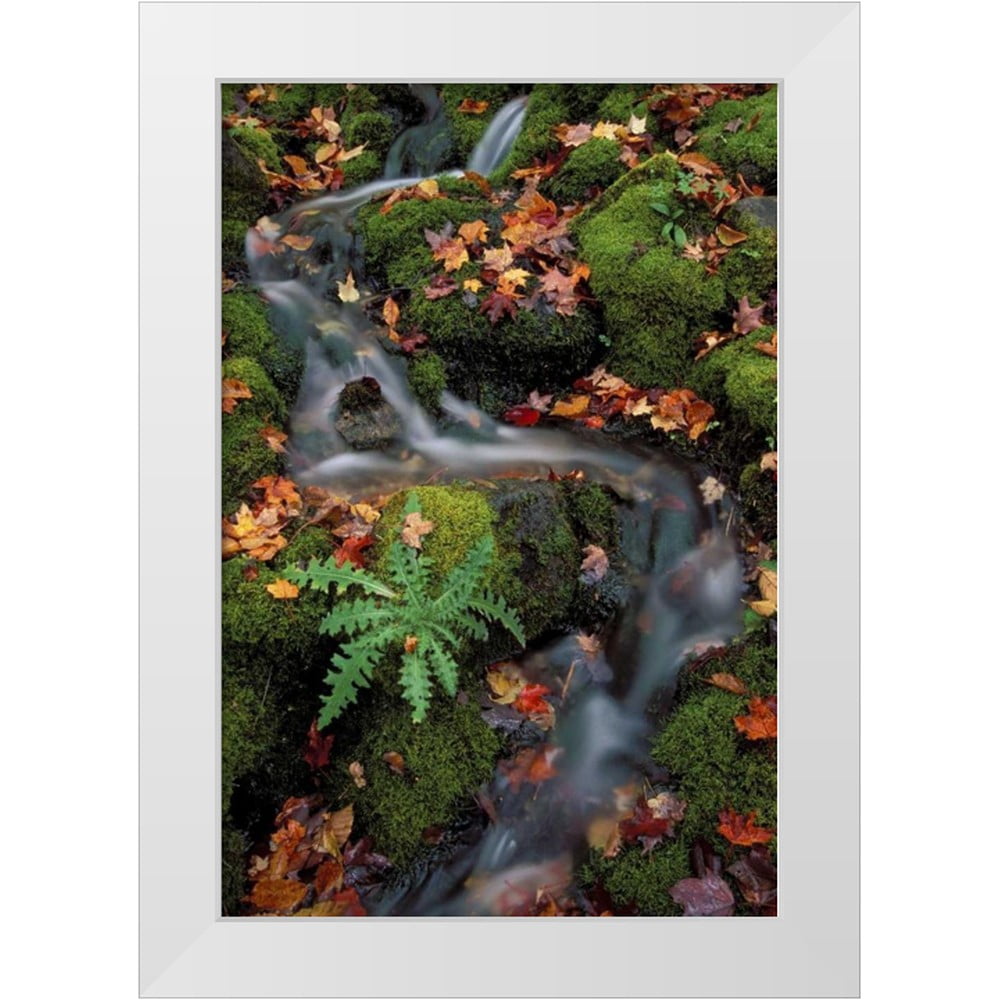 Carlson, Mark 23x32 White Modern Wood Framed Museum Art Print Titled ...