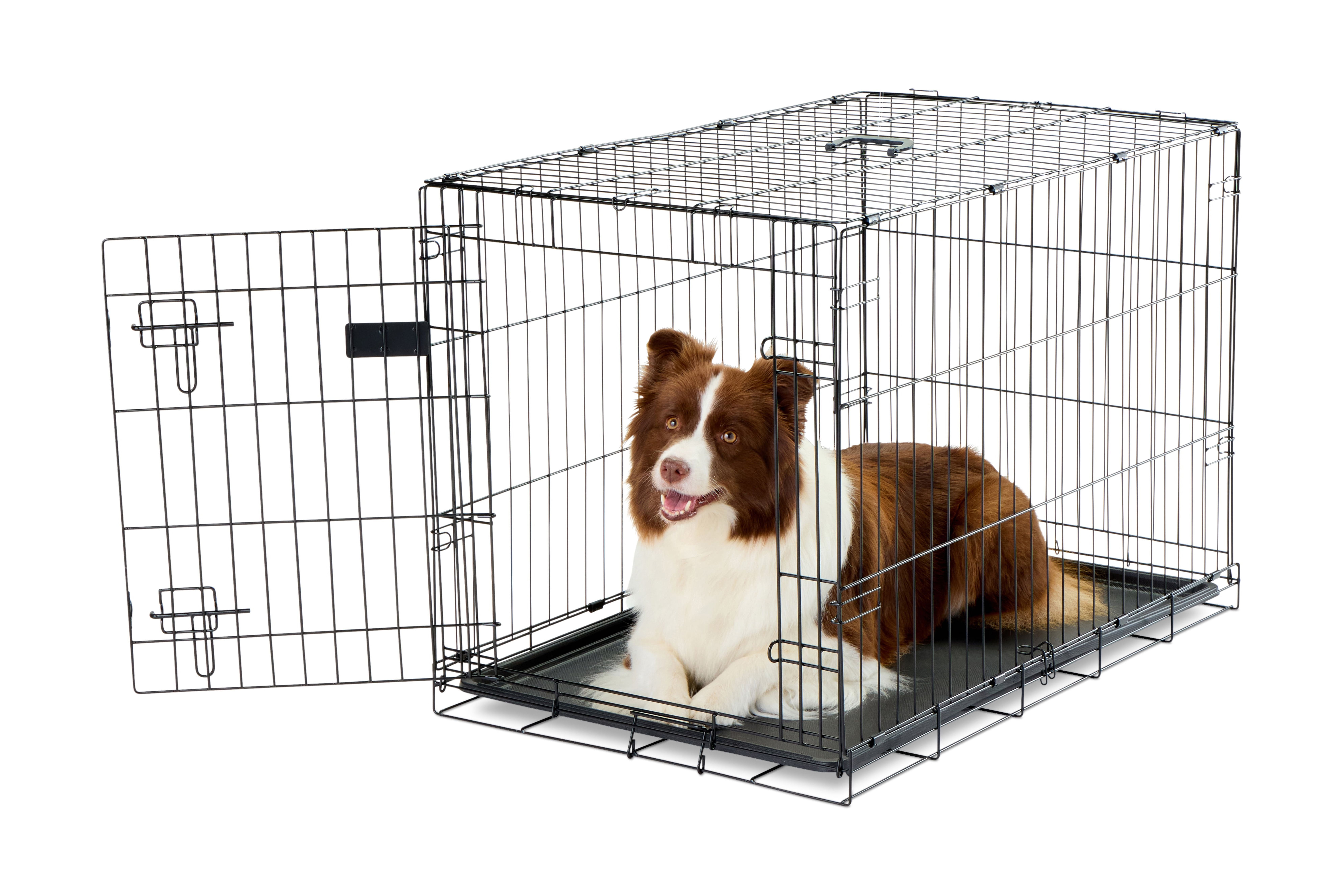 Carlson Pet Products Secure and Foldable Single Door Metal Dog Crate ...