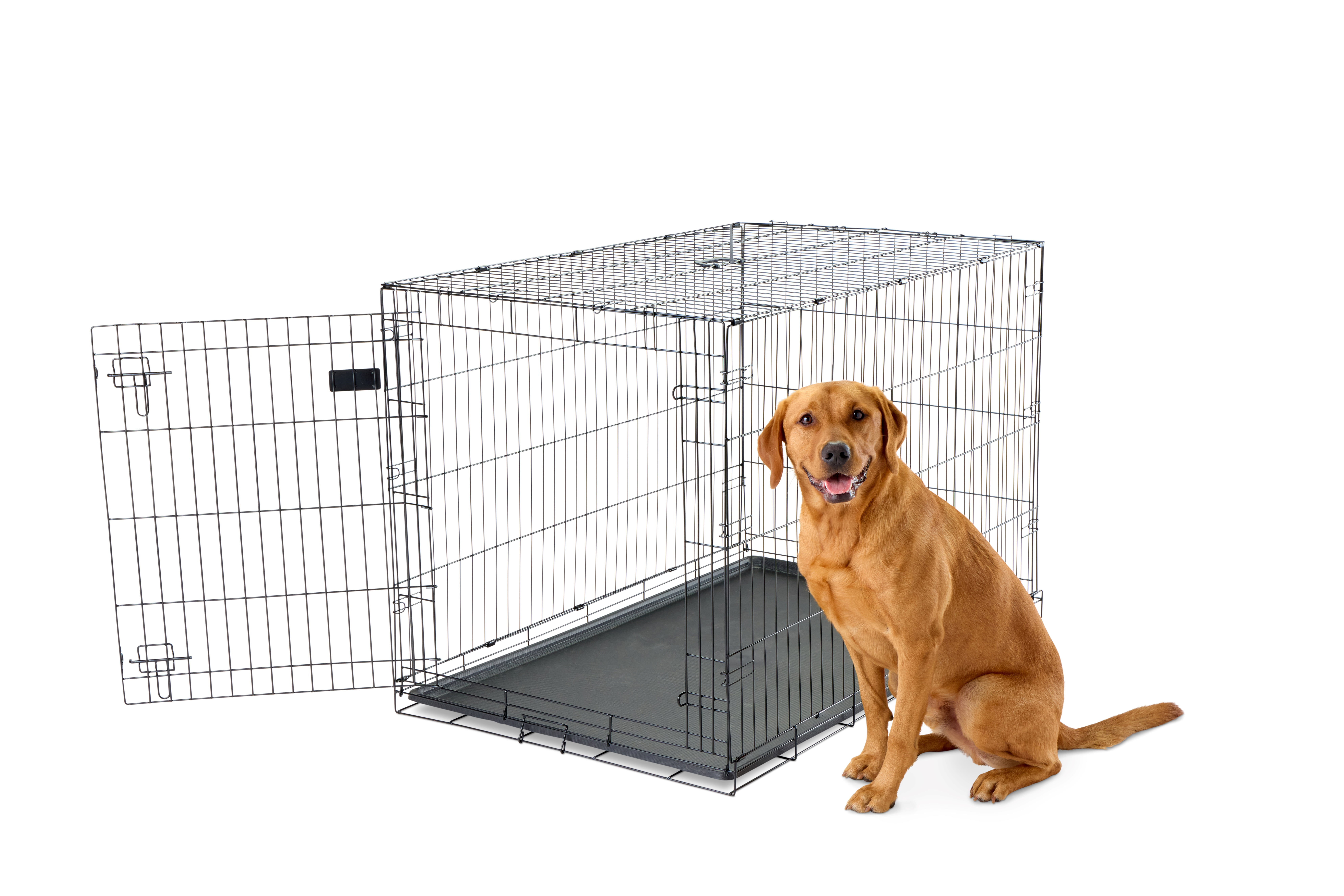 Carlson Pet Products Extra Large Secure Foldable Single Door Metal Dog ...