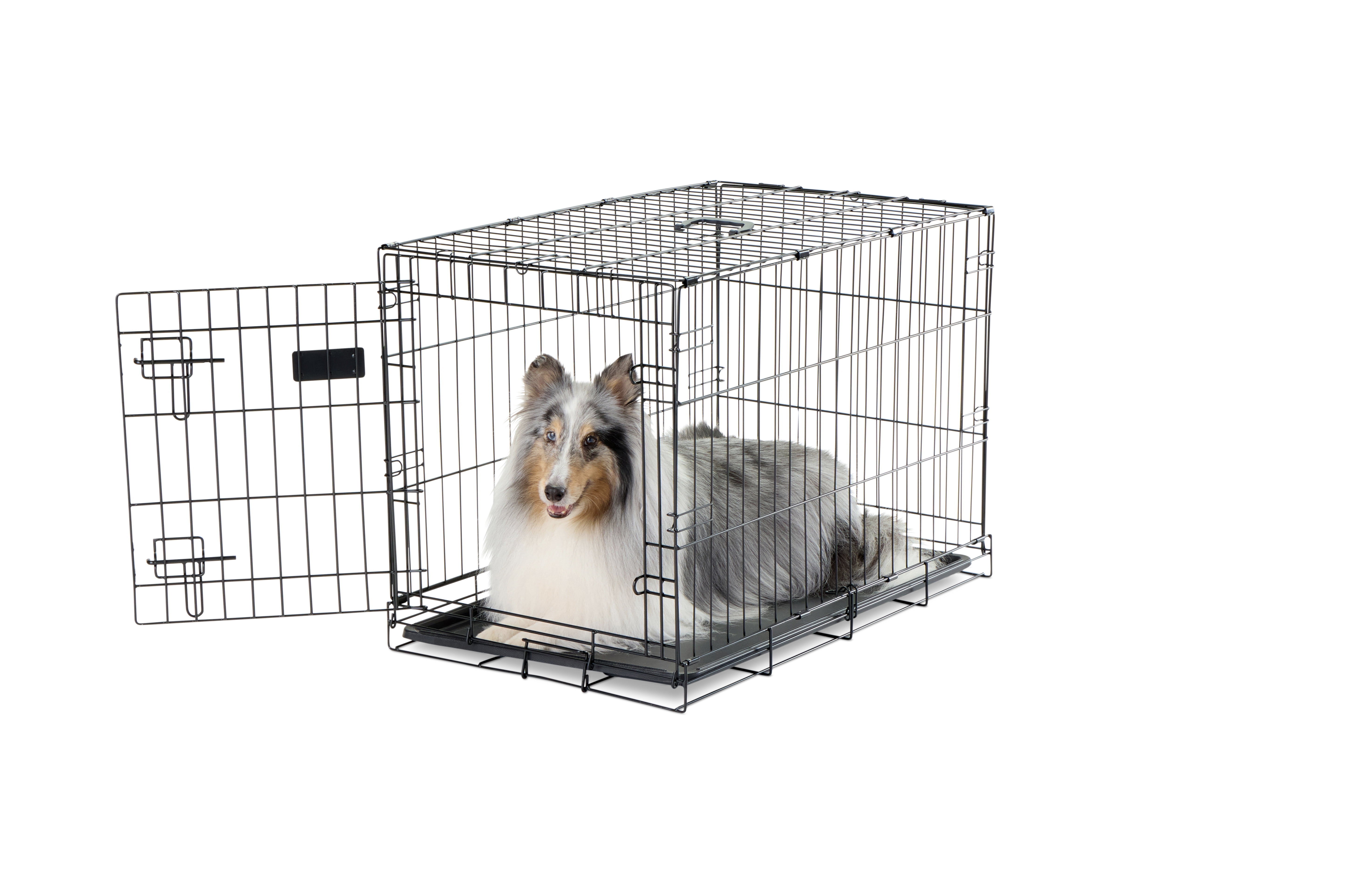 Carlson Secure Foldable Single Door Metal Dog Crate, Medium, Black, 30 ...