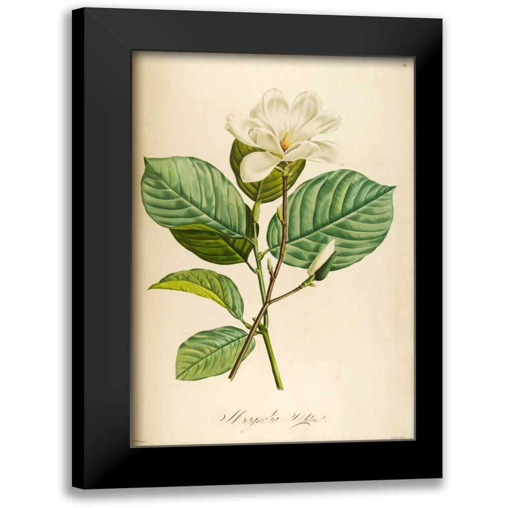 Carlson, Tina 11x14 Black Modern Framed Museum Art Print Titled ...