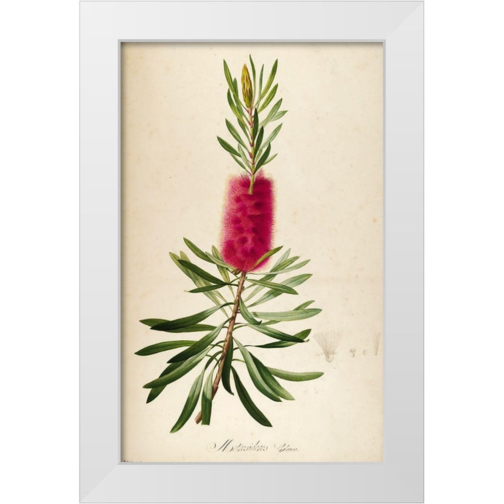 Carlson, Tina 17x24 White Modern Wood Framed Museum Art Print Titled ...