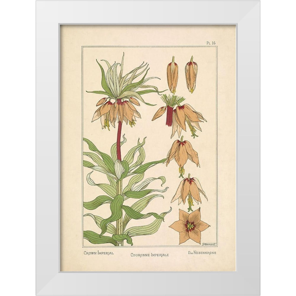 Carlson, Tina 18x24 White Modern Wood Framed Museum Art Print Titled ...