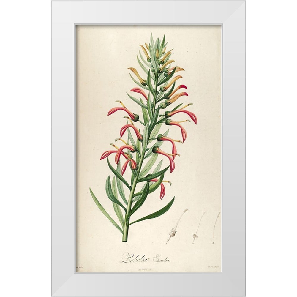 Carlson, Tina 20x32 White Modern Wood Framed Museum Art Print Titled ...