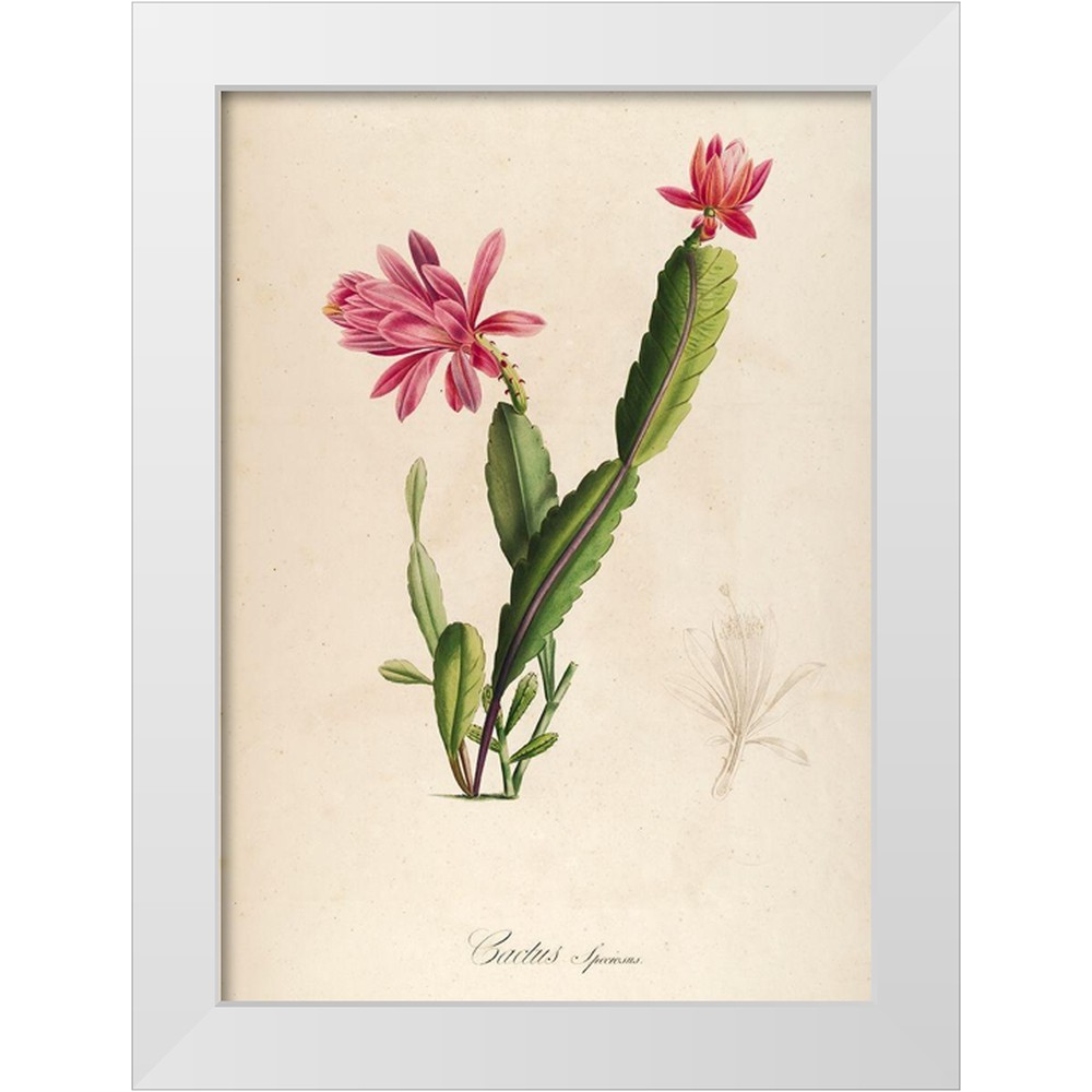 Carlson, Tina 24x32 White Modern Wood Framed Museum Art Print Titled ...