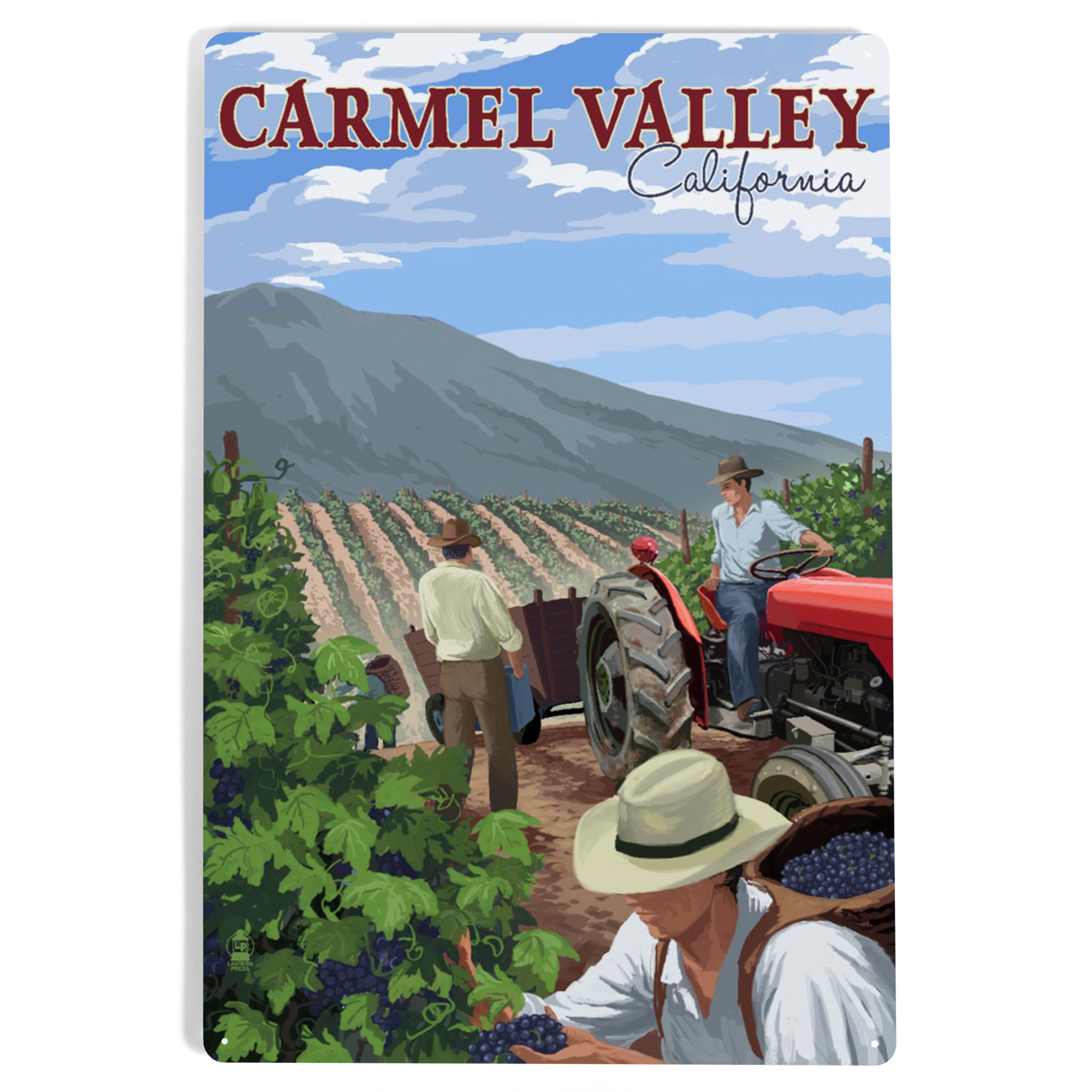 Carmel Valley, California, Wine Grape Harvest (12x18 Aluminum Art ...