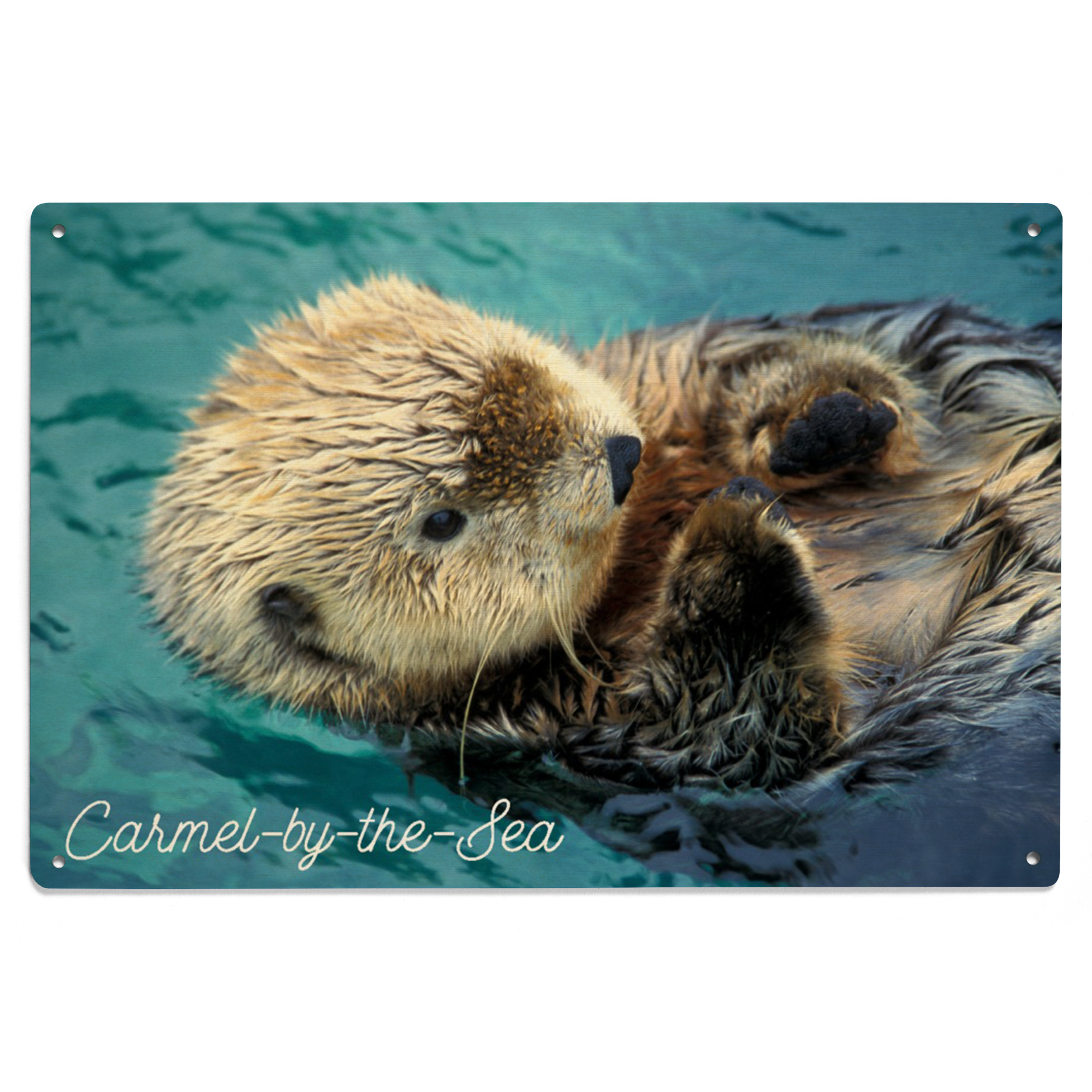 Carmel-by-the-Sea, California, Sea Otter Photograph Birch Wood Wall ...