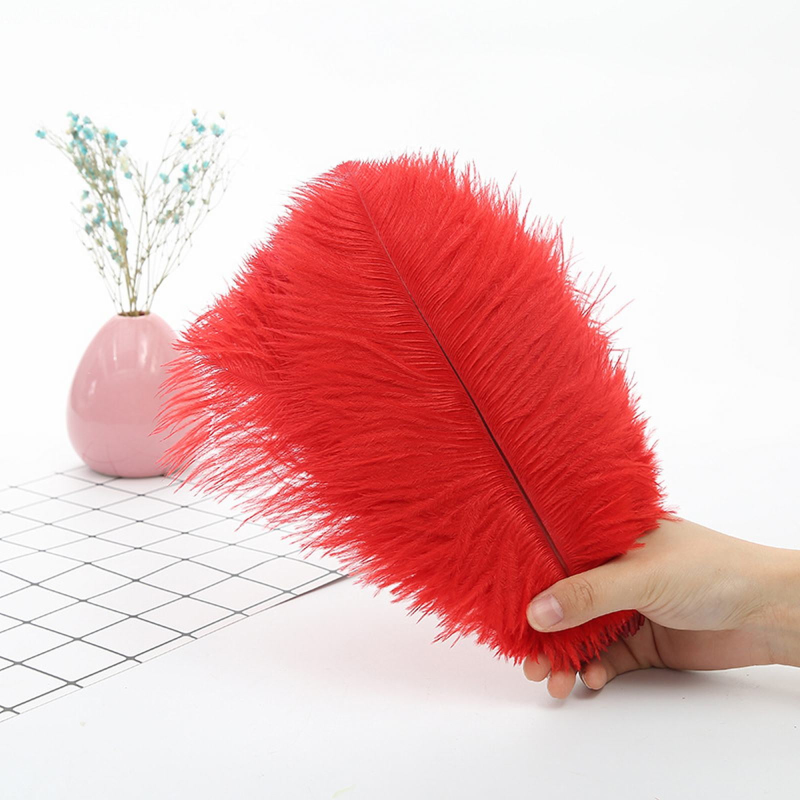 Carmenl Feather 23cm Or So Stage Props Feather Wall Color Feathers ...