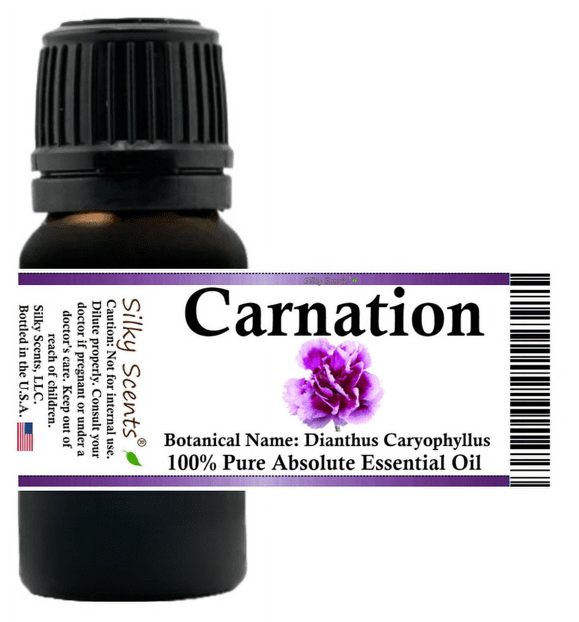 Carnation Absolute Essential Oil - Walmart.com