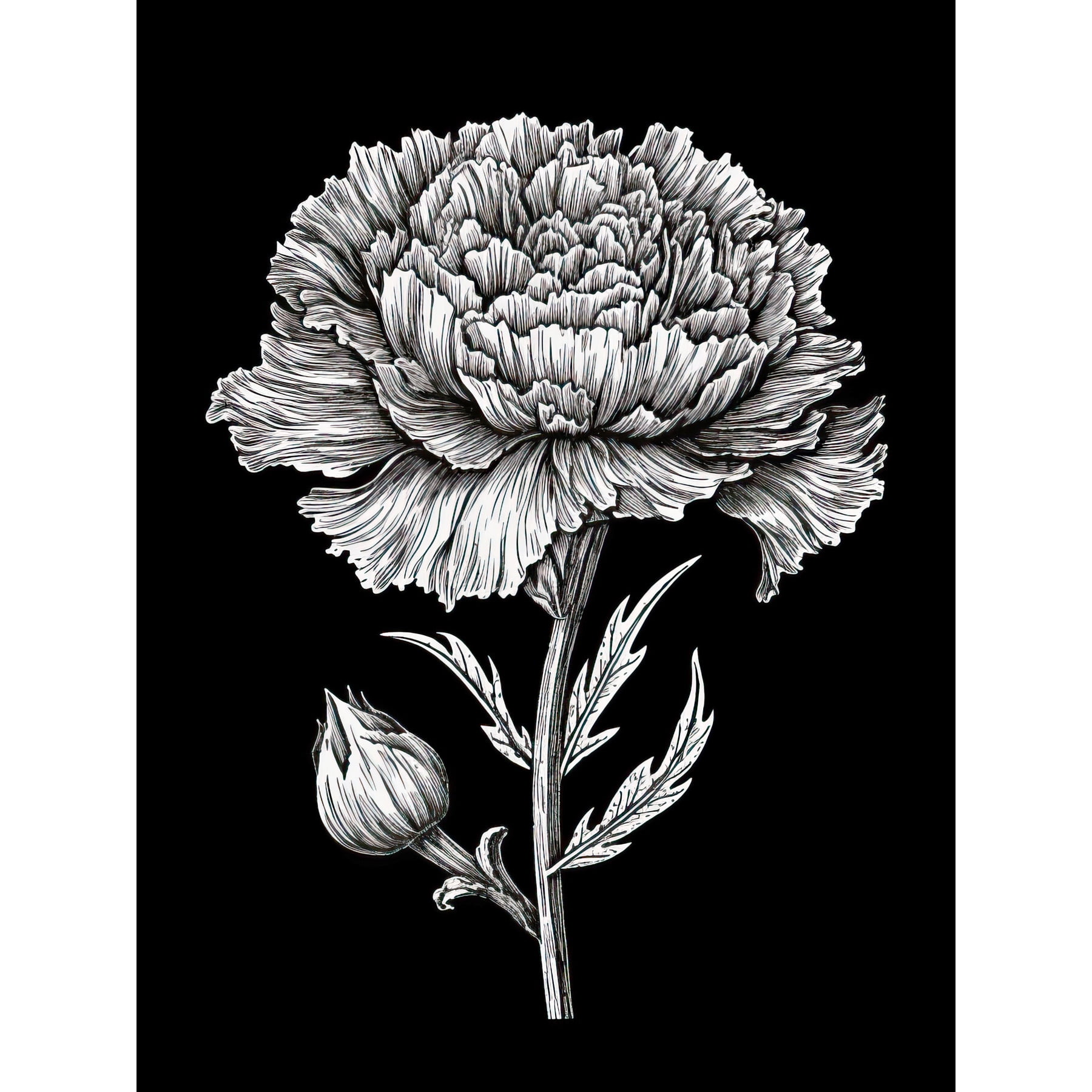 Carnation Flower Black and White Linocut Print Large Wall Art Poster ...