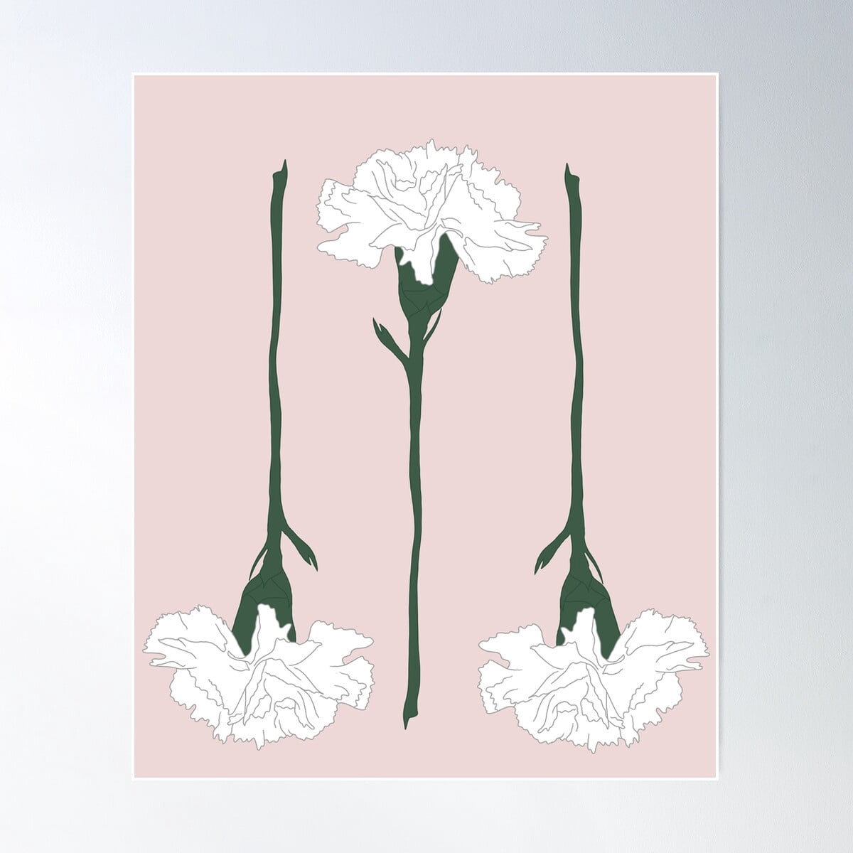 Carnation Poster Wall Art, Modern Wall Decor For Living Room Bedroom ...
