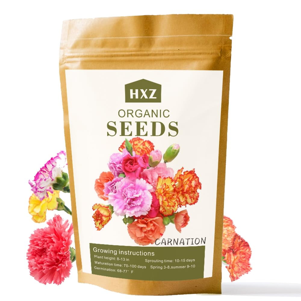 Carnation Seeds, Pack AJH3 of 2000 Carnation Seeds for Planting ...