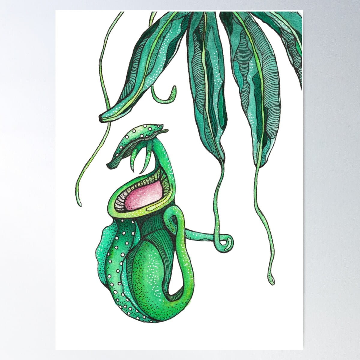 Carnivorous Plant - Illustration - Watercolor And Ink Poster Wall Art ...