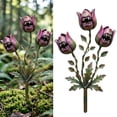 Carnivorous Themed Card Slot Holder For Party Tabletop Display Stand ...