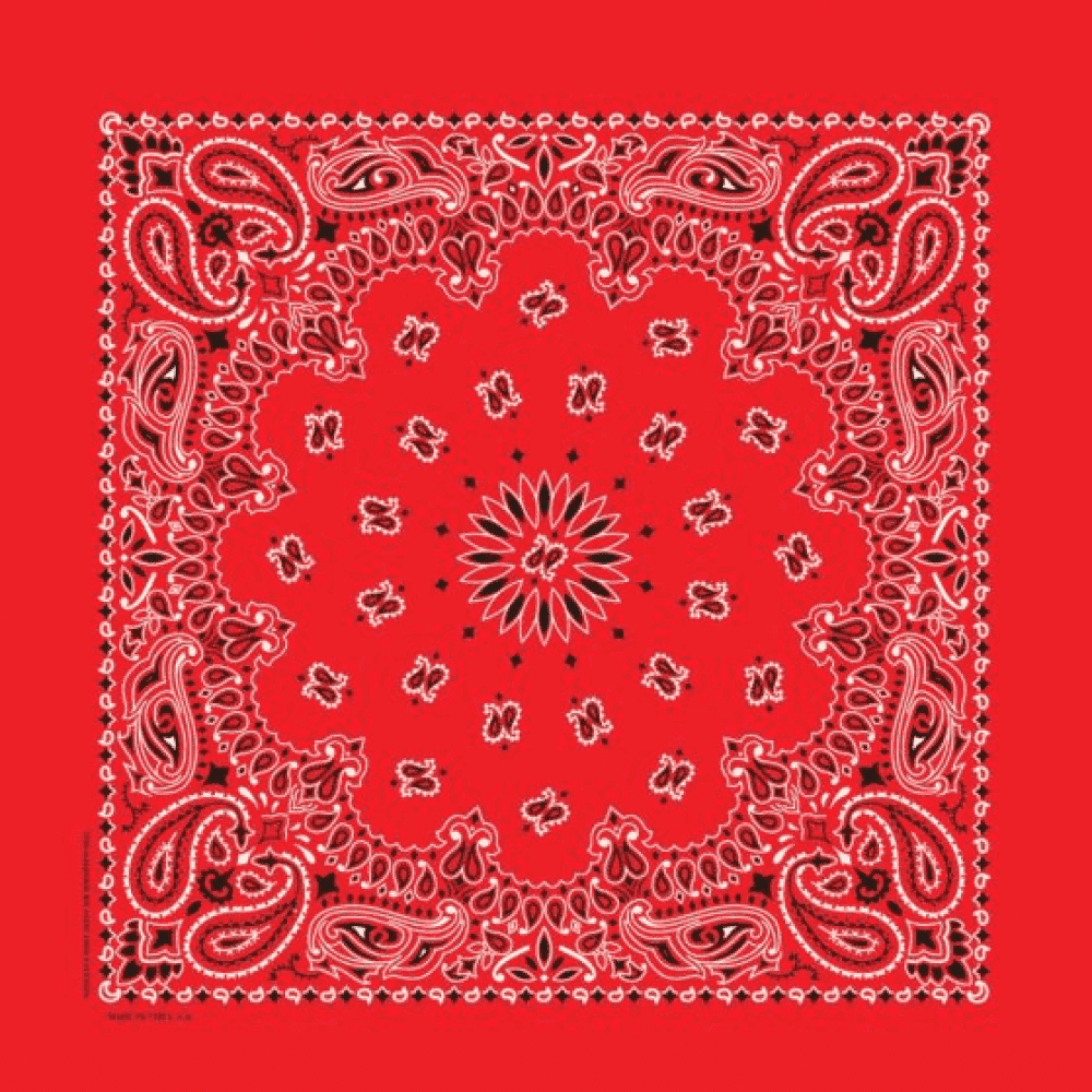 Carolina Creative Products Hav-A-Hank Red Paisley Bandana, Red ...