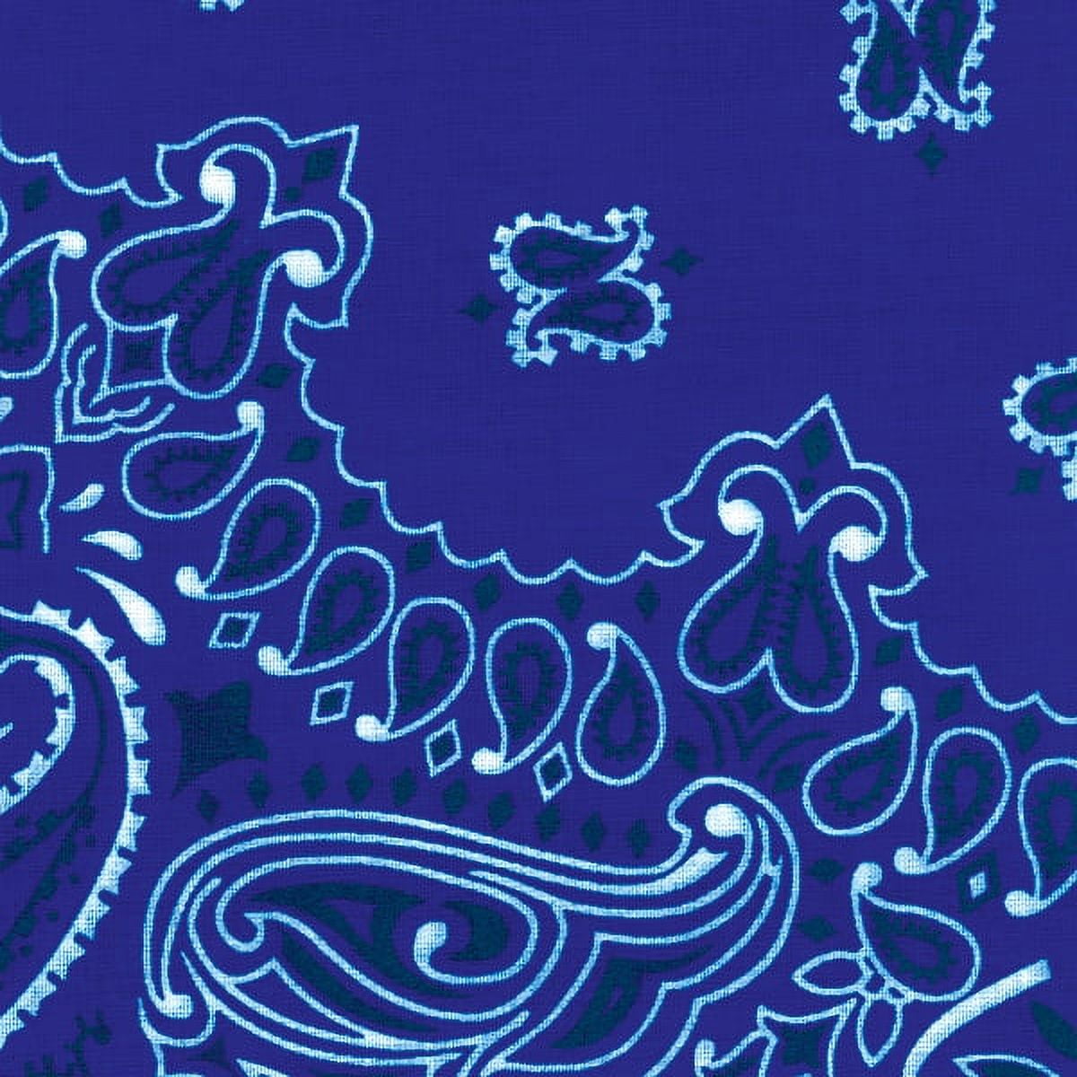 Carolina Hav-A-Hank Paisley Bandanna 22"X22"-Royal - Walmart.com