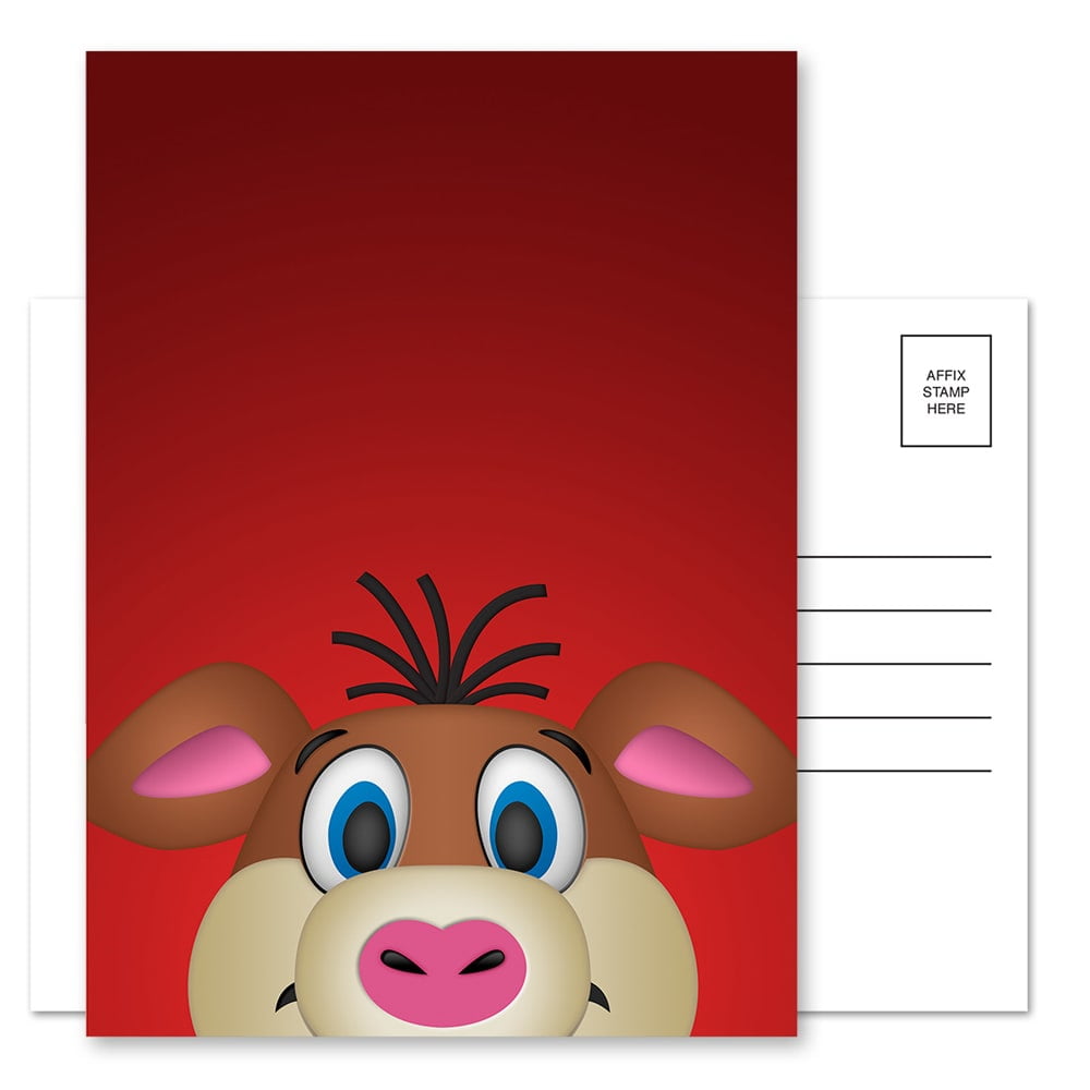 Carolina Hurricanes 5-Count Mascot Postcard Set - Walmart.com