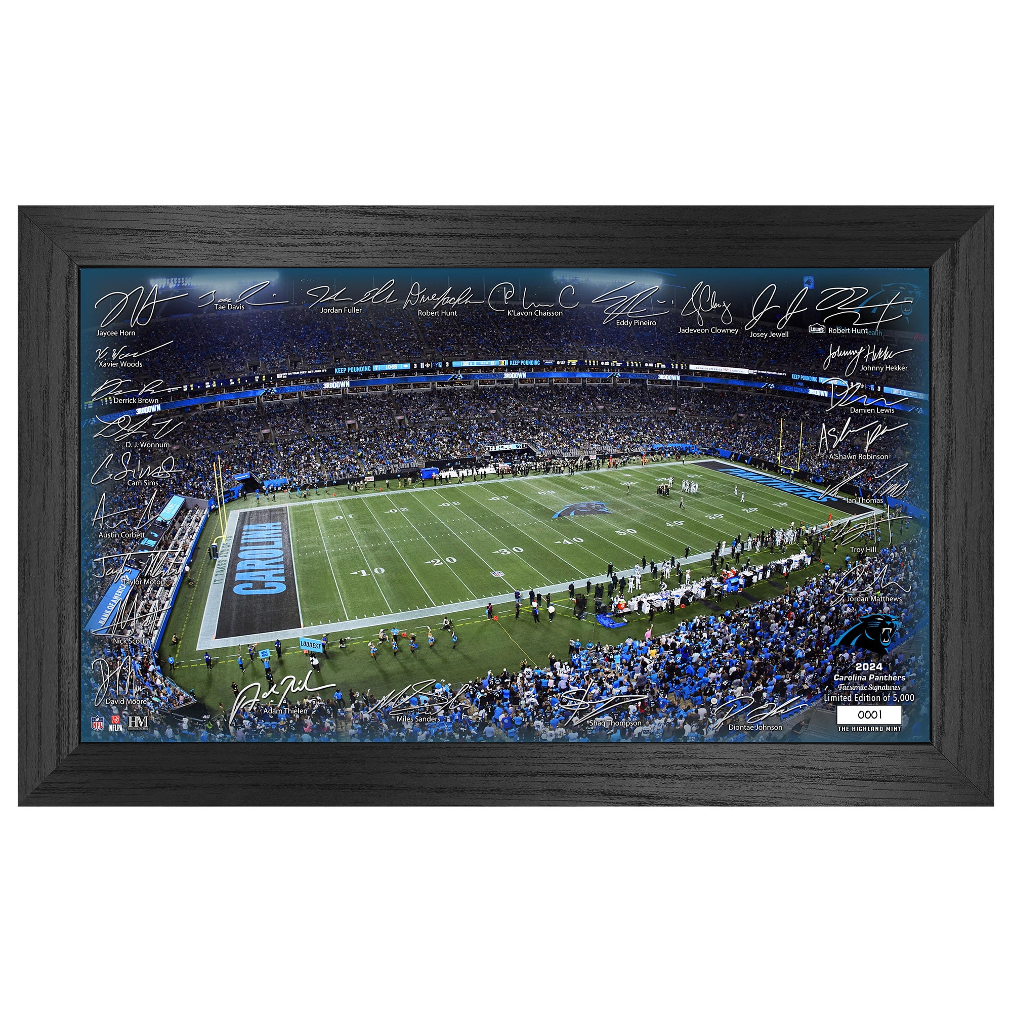 Highland Mint Carolina Panthers 12" x 20" 2024 Signature Gridiron ...
