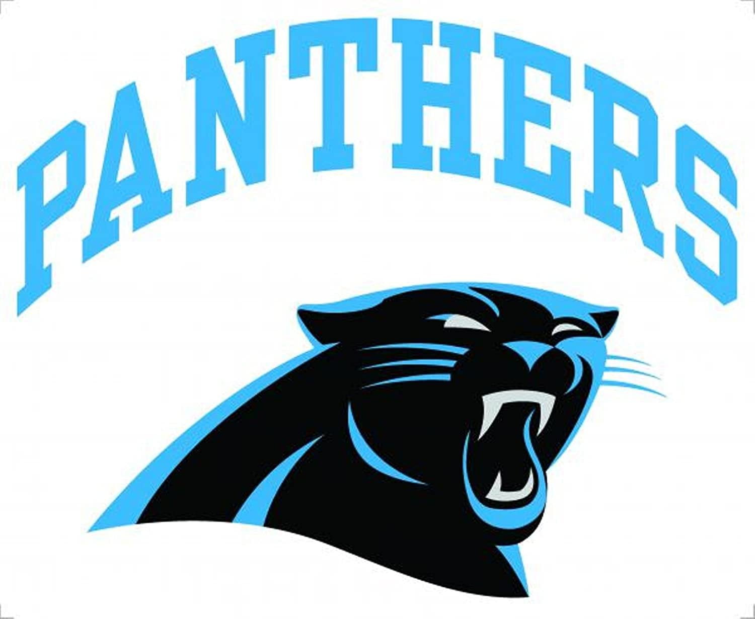 Carolina Panthers 8" ARCHED Decal Flat Vinyl Reusable Repositionable ...